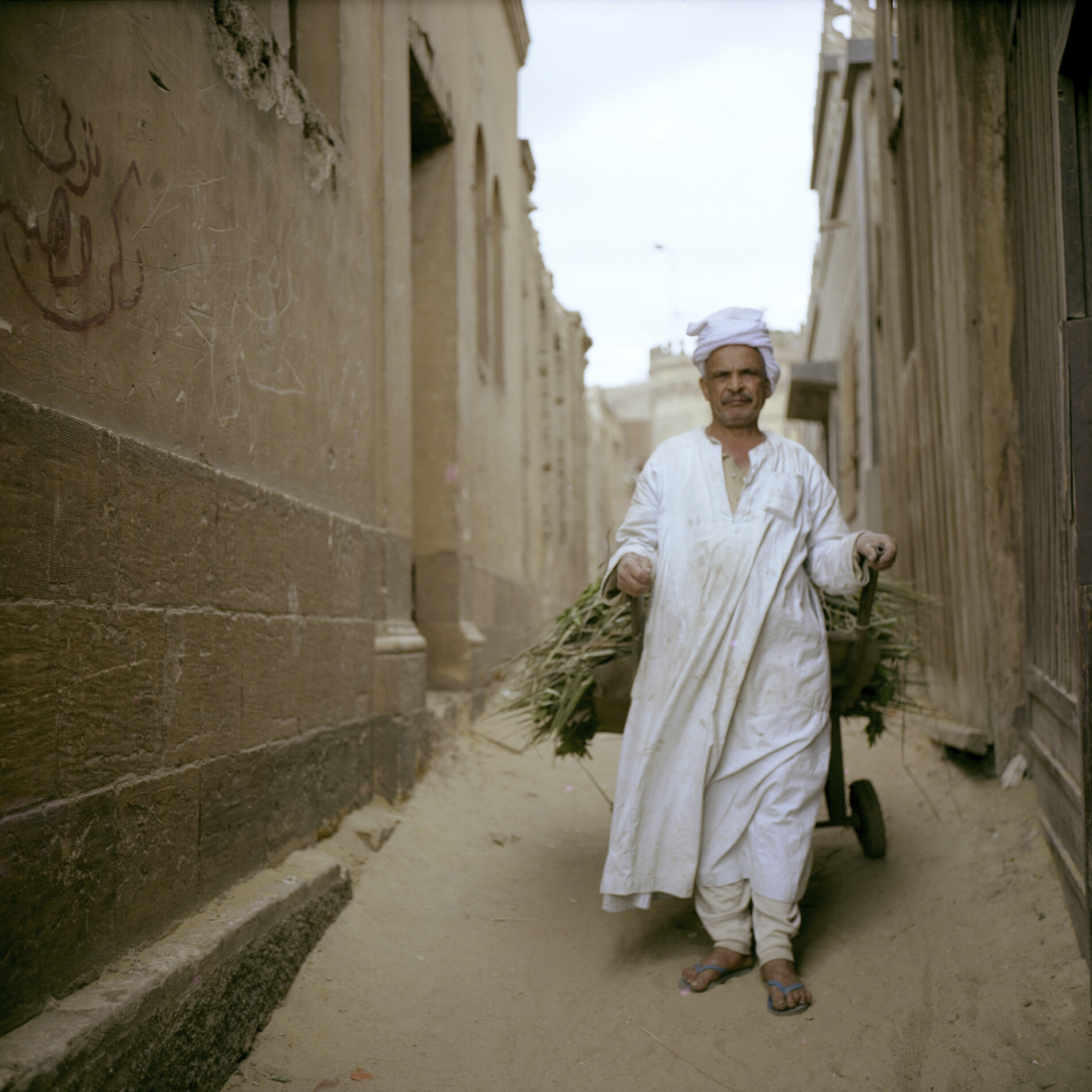 Photographe auteur professionnelle à Paris